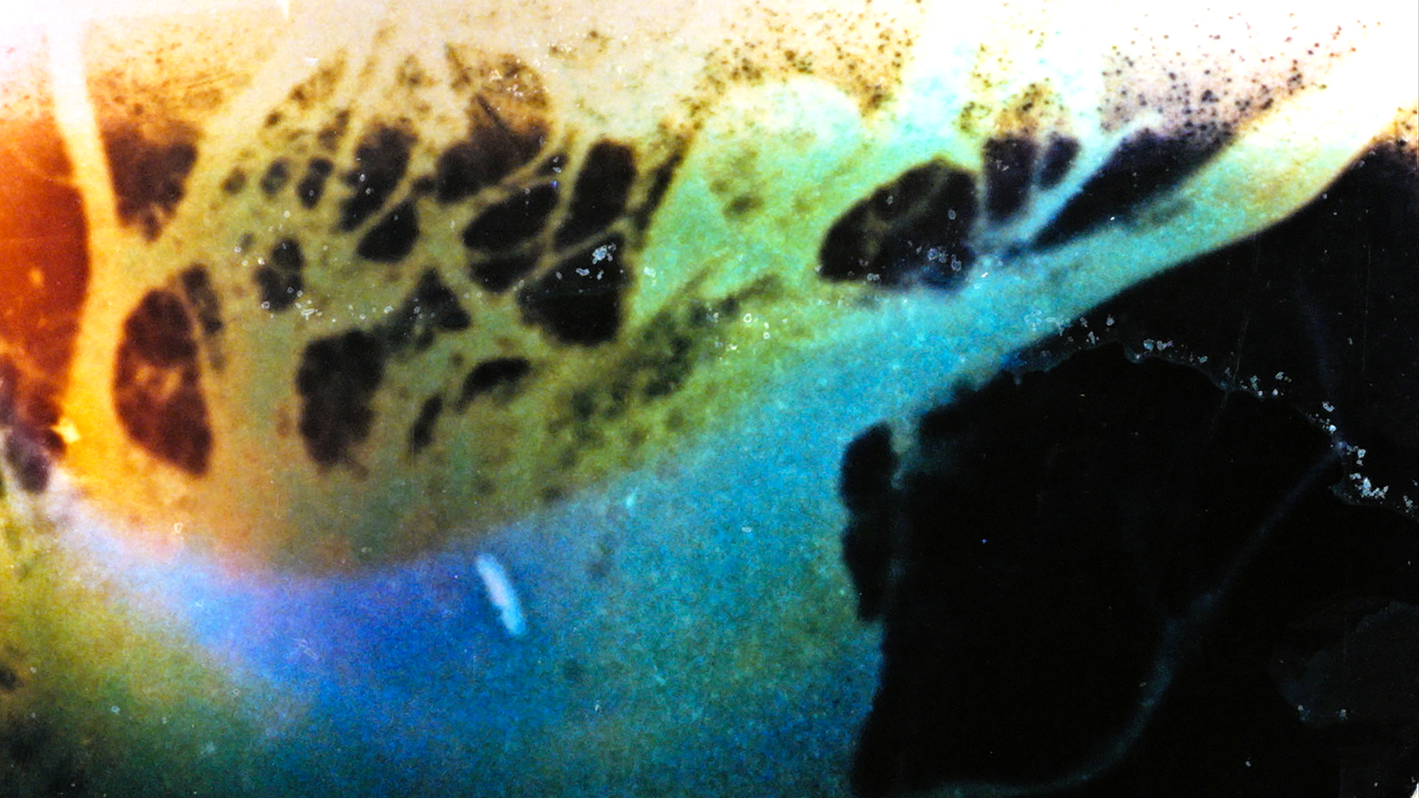 Rotterdam 2025 : Partie 4